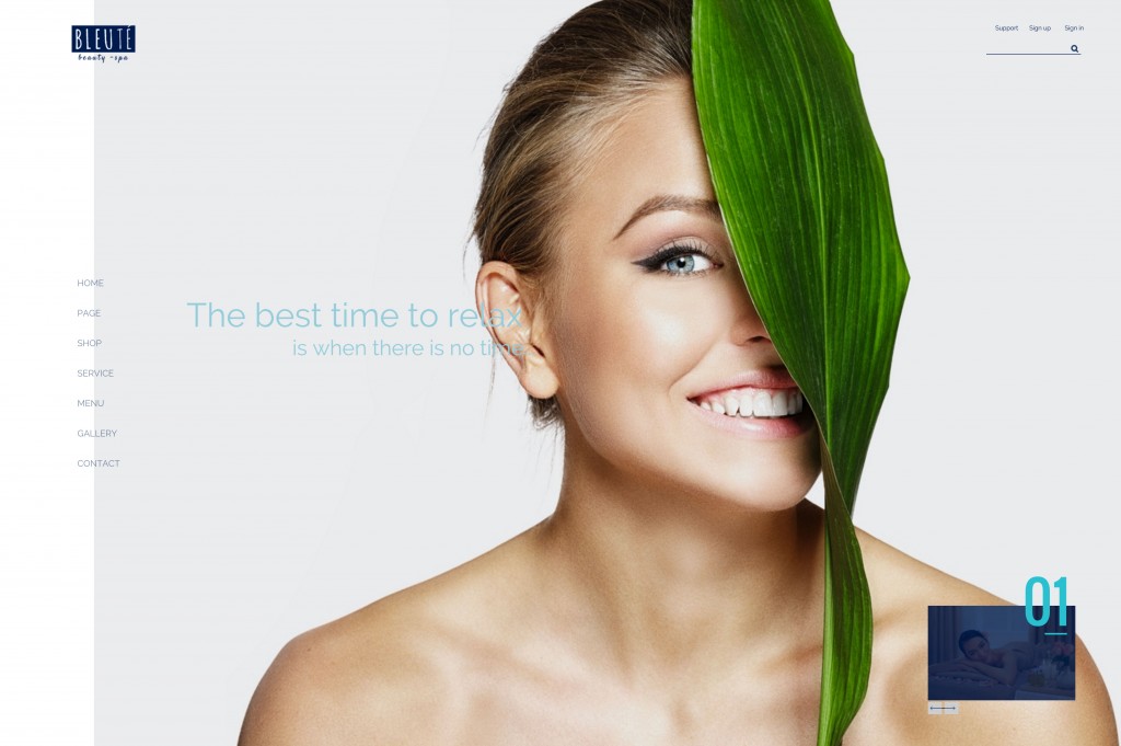 30 thèmes WordPress pour de beaux spas et salons de beauté 2018 | Webypress