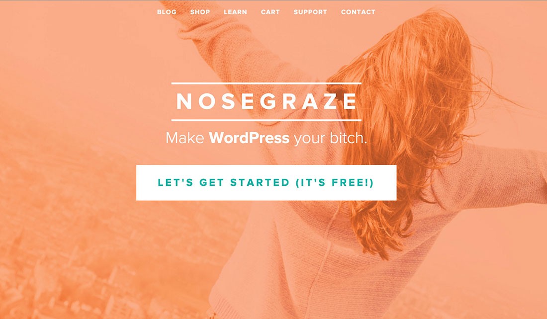 Top 14 Review Plugins pour WordPress avec annotations de schéma 2019 ...